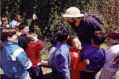 US Foraging Tours, Classes and Groups Near You - Eat The Planet