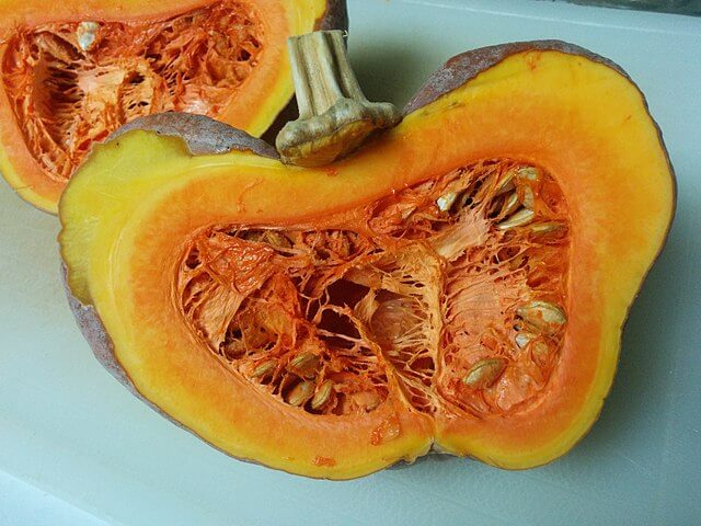 A Brief History of the Pumpkin - From Ice-age Megafauna to New England ...