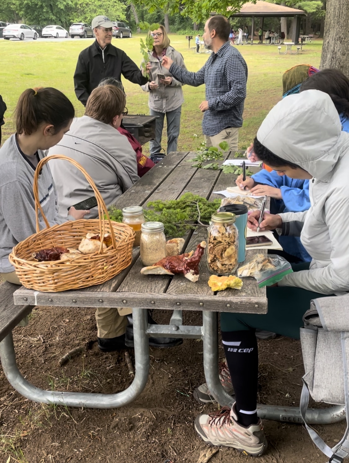 Connecticut Foraging Club: Meet the Instructors - Eat The Planet
