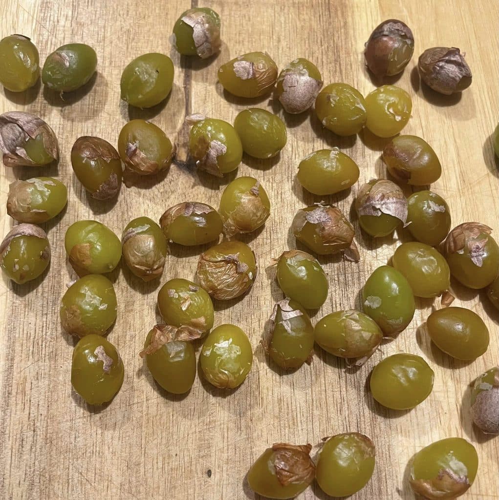 Ginkgo biloba - Ginkgo - Eat The Planet